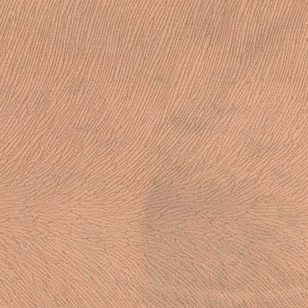 End of Line - Fox Velvet, Velvet Beige, Upholstery Fabric – Balmoral ...